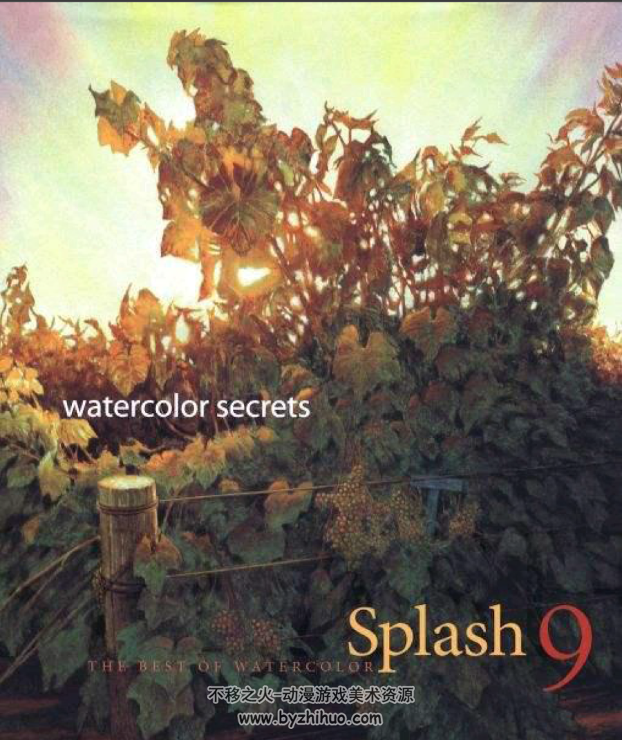 Splash 9 Watercolor Secrets 水彩画艺术 百度网盘下载 - 不移之火资源网